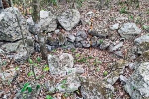 Conheça a cidade maia perdida na floresta há mais de mil anos - Revista ...